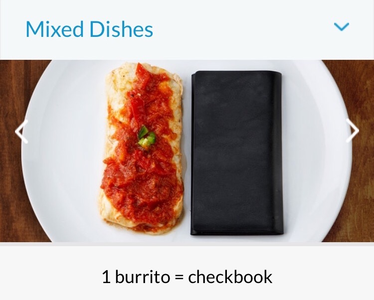 Best Portion Control Picture Guide