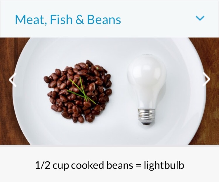 Best Portion Control Picture Guide